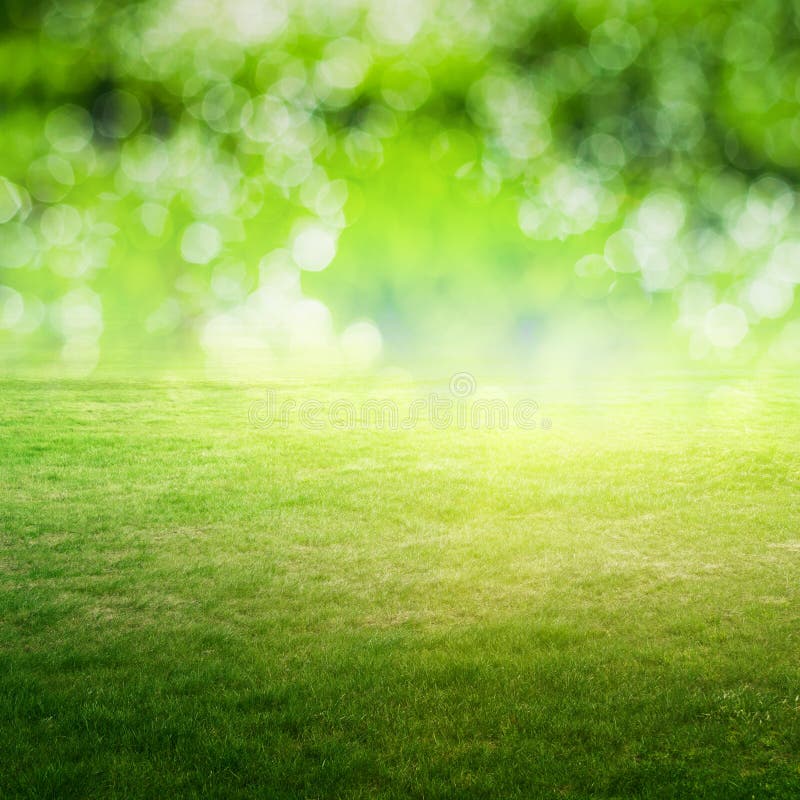 Clear Grass Field in a Park Outdoors Stock Image - Image of lush, clean ...