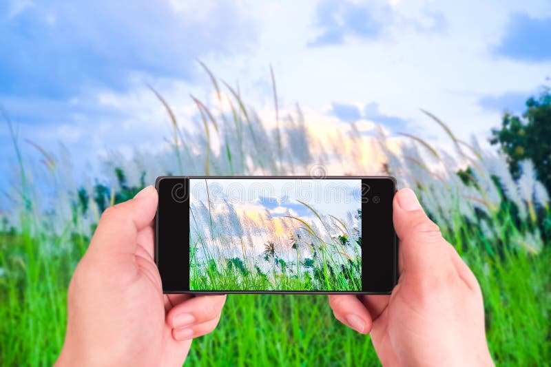 Clear Image on Screen Taken with Smartphone in Human Hand Stock Photo ...