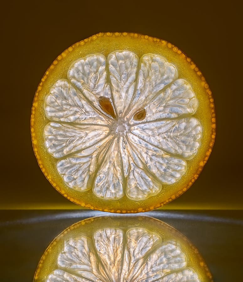 Clear Lemon Slice on Glass with Reflection Stock Image - Image of ...