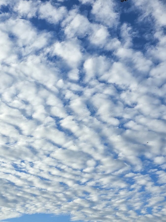 The Clear Morning Sky is a Beautiful Blue, Adorned with Fluffy White ...