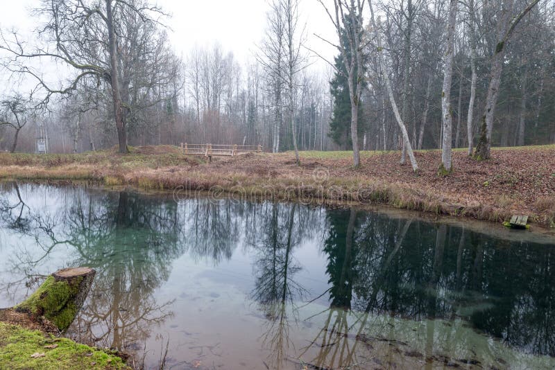 Clear Morning by Small Lake with Reflections Stock Image - Image of ...