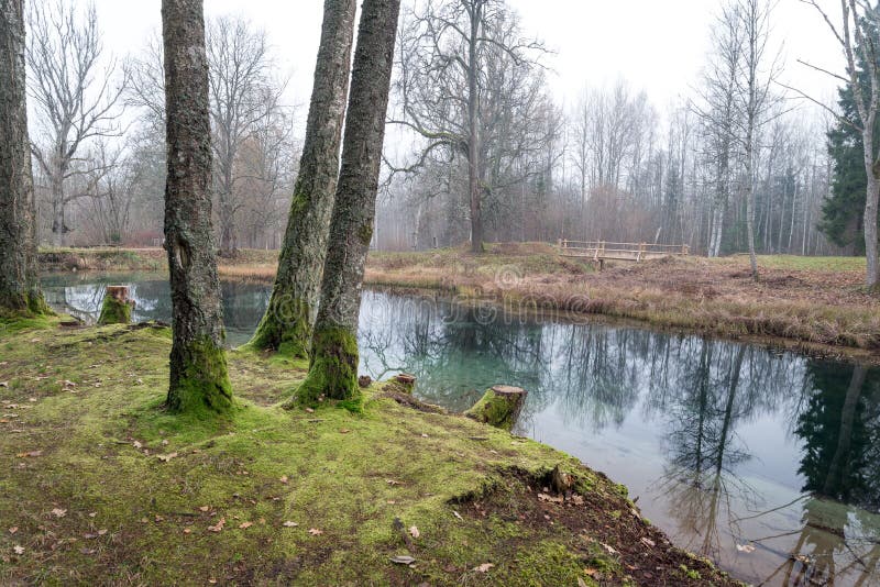 Clear Morning by Small Lake with Reflections Stock Image - Image of ...