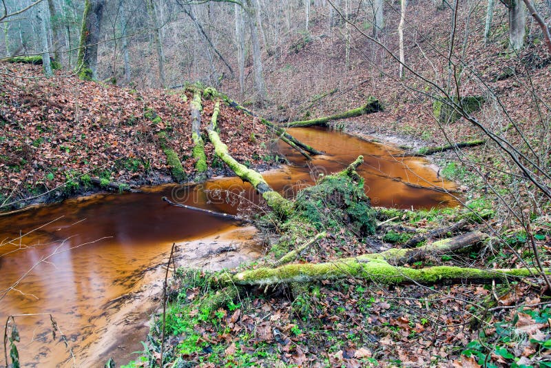 Clear Morning by Small Lake with Reflections Stock Photo - Image of ...
