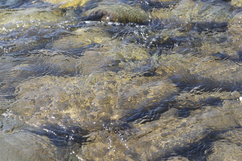 Clear Mountain River Background Stock Image - Image of trees, dense ...