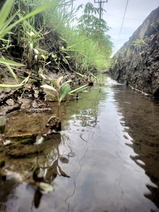 Clear Mountain Water West Java Stock Photo - Image of java, clear ...