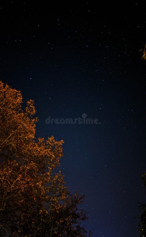 Clear Night Sky Full of Stars Stock Image - Image of stars, full: 165446601
