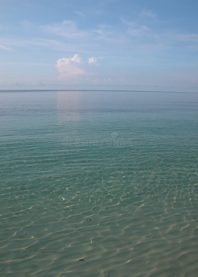 Clear Ocean stock photo. Image of wonder, tropics, determination - 66988