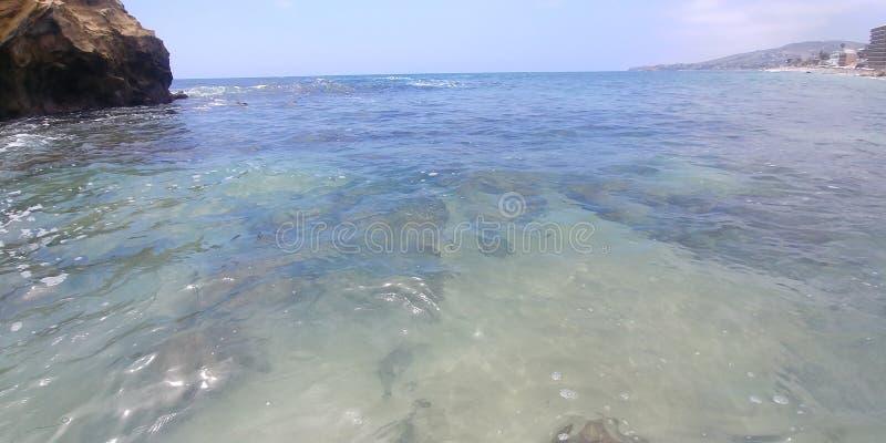 Laguna beach shot stock photo. Image of clear, shot - 100761846