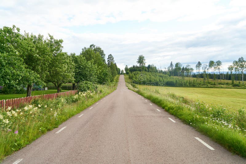 Clear Path with Contry Road and Meadow in Sweden in Summer Stock Image ...