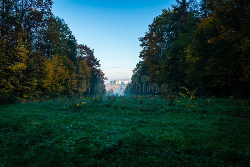 Clear path stock photo. Image of farm, groundcover, garden - 259615472