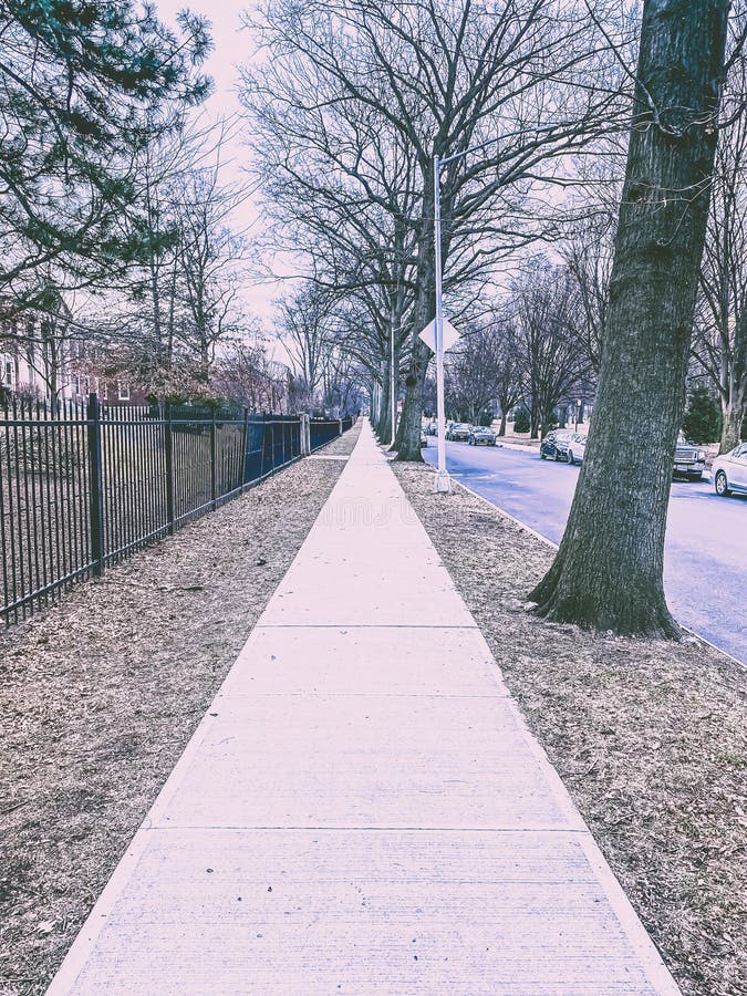 Clear Pedestrian Pathway during Daytime. Stock Image - Image of ...