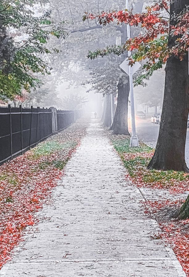 Clear Pedestrian Pathway into the Mist Ahead. Stock Photo - Image of ...