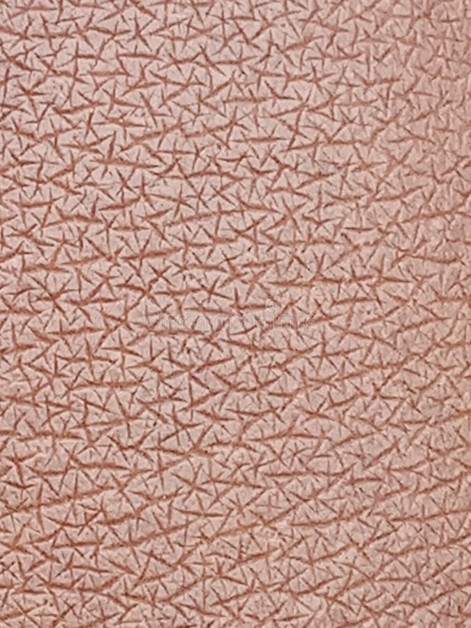 A Clear Picture of the Skin Shape Structure Stock Image - Image of ...