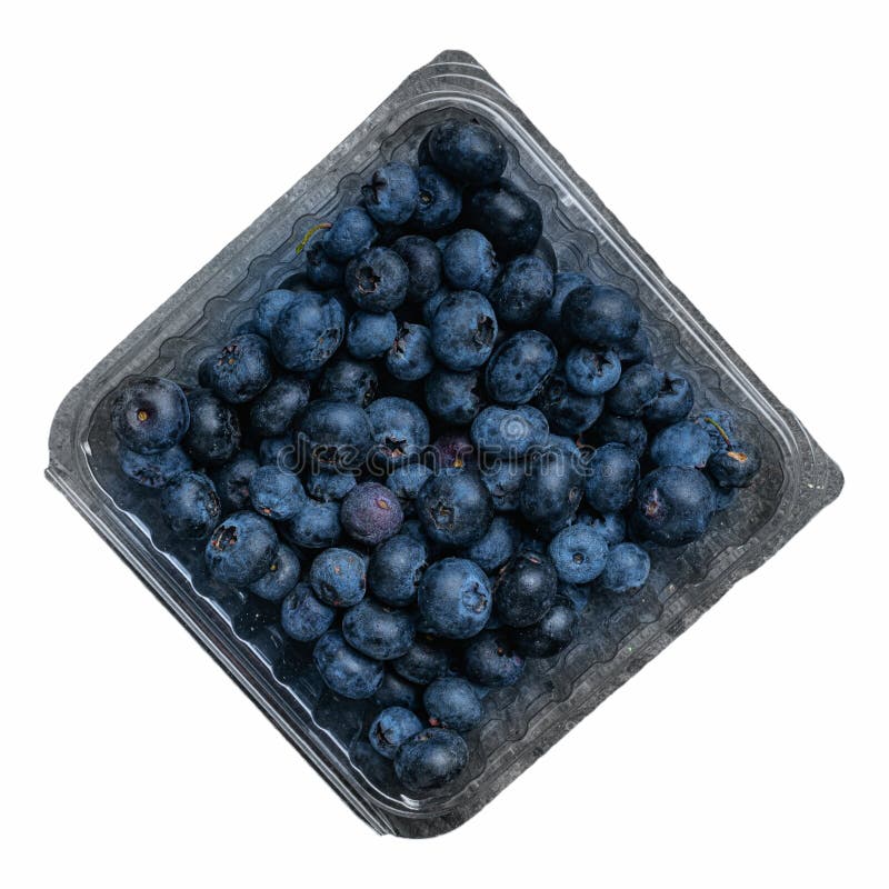 Fresh Blueberries Displayed Clear Plastic Container Stock Photos - Free ...