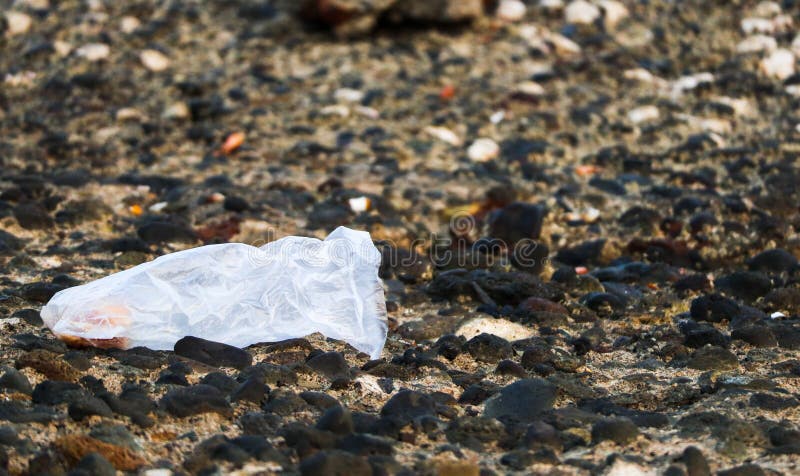 A Clear Plastic Trash on the Beach Stock Photo - Image of environment ...