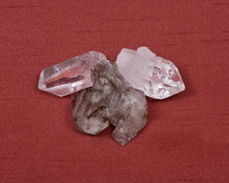 Quartz Crystal in Oyster Shell Stock Image - Image of clear, jewel ...