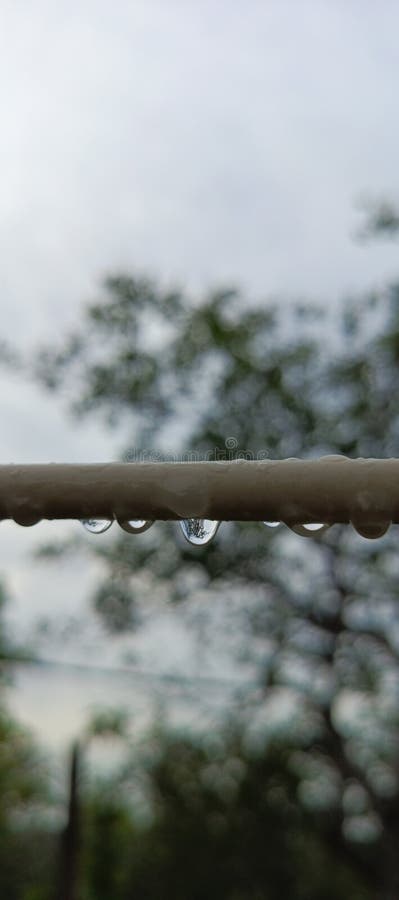 Clear Raindrops on the Surface of an Elongated Object Stock Image ...