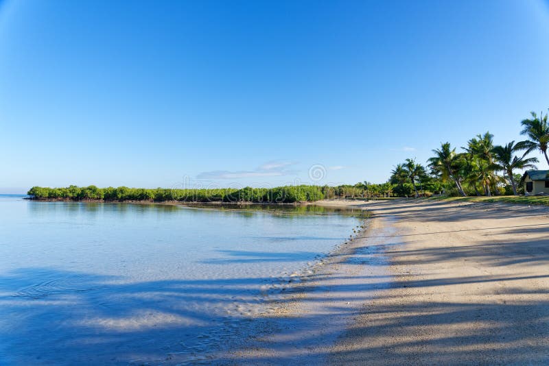 Clear Reflective Water with Reeds in the Background Stock Image - Image ...