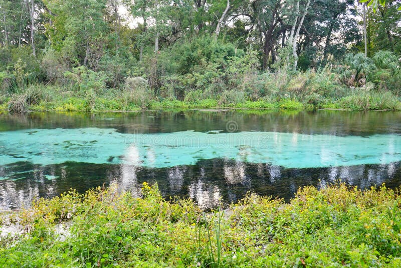 Clear river stock photo. Image of color, bright, beauty - 101657082