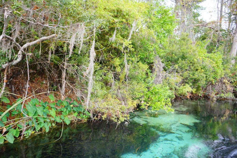 Clear river stock photo. Image of entertainment, blue - 101657770