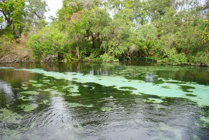Clear river stock image. Image of background, clear - 101658463
