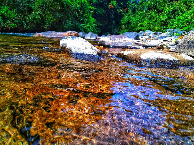 A Clear River in the Middle of the Forest Stock Photo - Image of ...