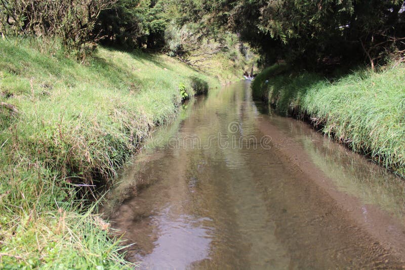 Clear river path stock image. Image of path, healthy - 97413879