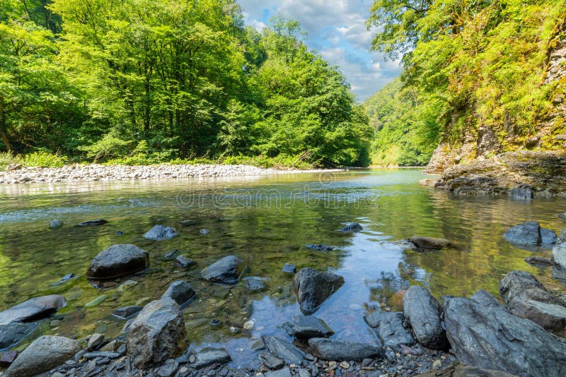 Clear River with Rocks and Forest on Background Stock Photo - Image of ...