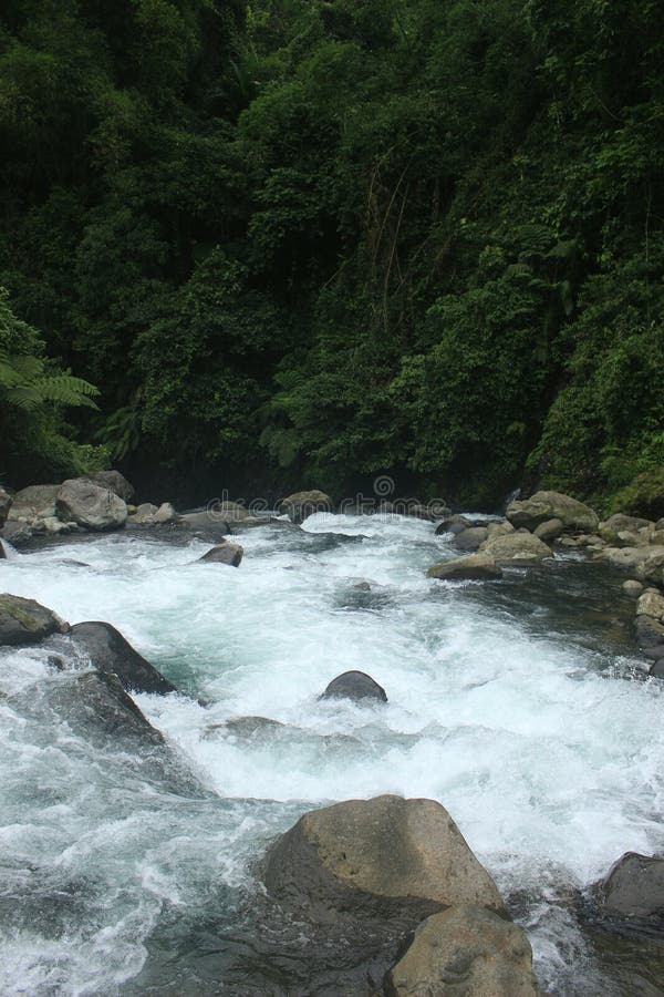 Clear River Water Flow Beautiful Stock Photo - Image of camping ...