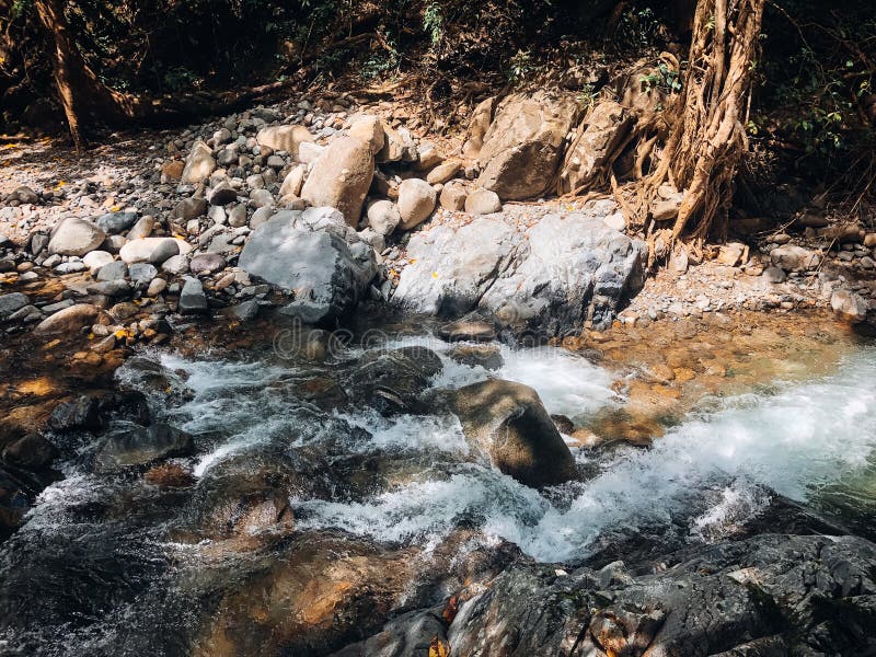River flow stock image. Image of flows, water, forest - 317997569