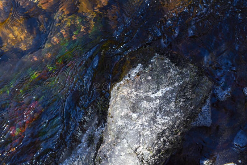 Clear River Water from High Angle Stock Image - Image of natural ...