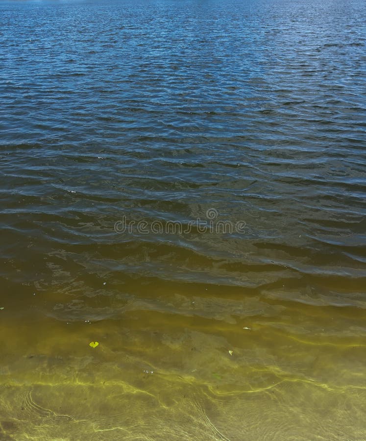 Clear River Water with Small Waves and a Yellow Leaf Floating Stock ...