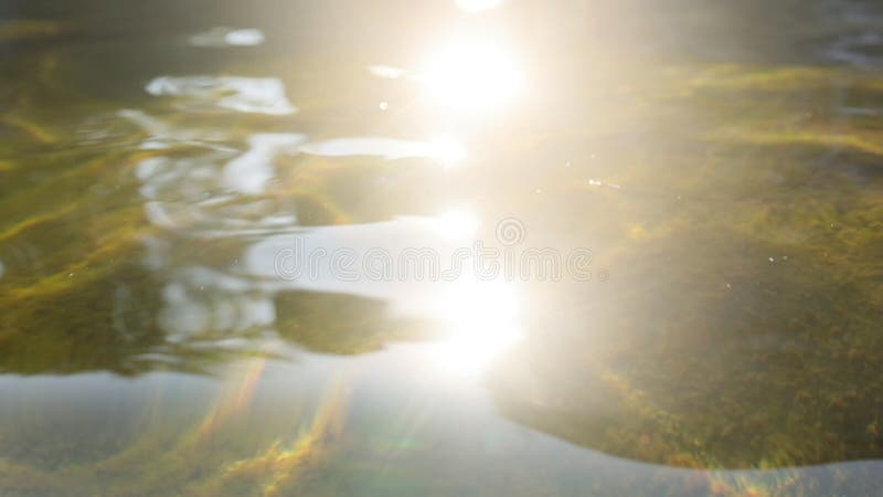 Clear River Water with a Sunlight Reflection Stock Footage - Video of ...
