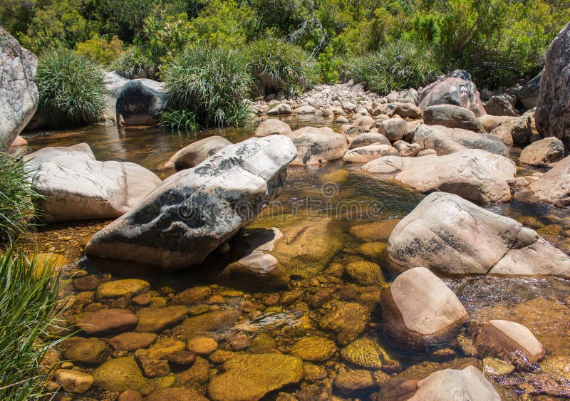 Clear Rocky Mountain Stream Stock Photo - Image of abstract, flowing ...