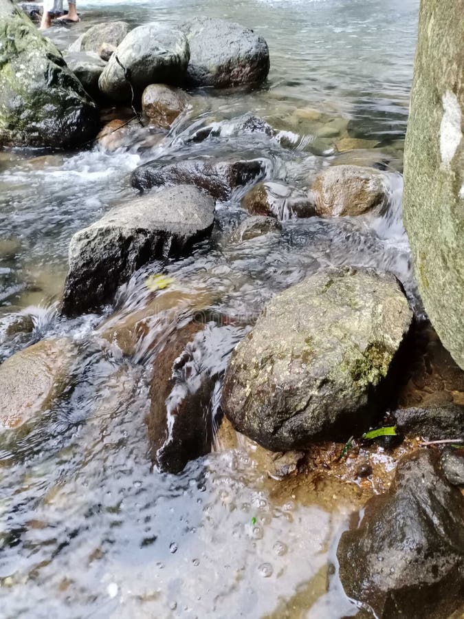 Clear Running Water with Stone Stock Image - Image of rapid, tree ...