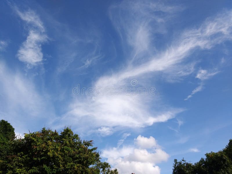 Clear& X27;s Sky from Jakarta Stock Photo - Image of prairie, grassland ...