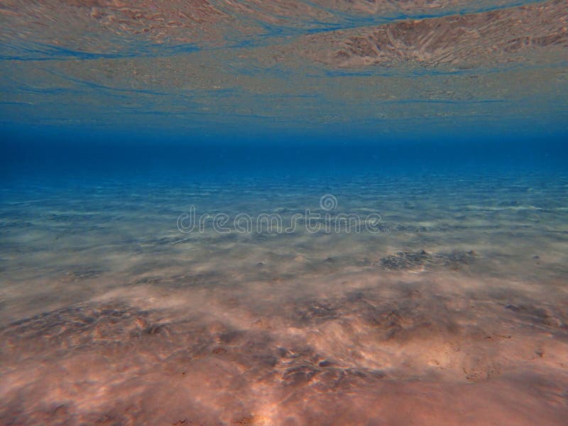 Clear sand under sea water stock photo. Image of ocean - 214377844