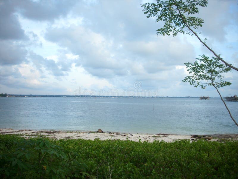 The Clear Sea and Sky on the Beach with Green Plants Stock Image ...