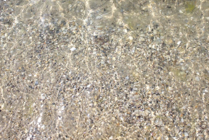 Clear Sea Water with Shells, Stones, Bottom View Stock Photo - Image of ...