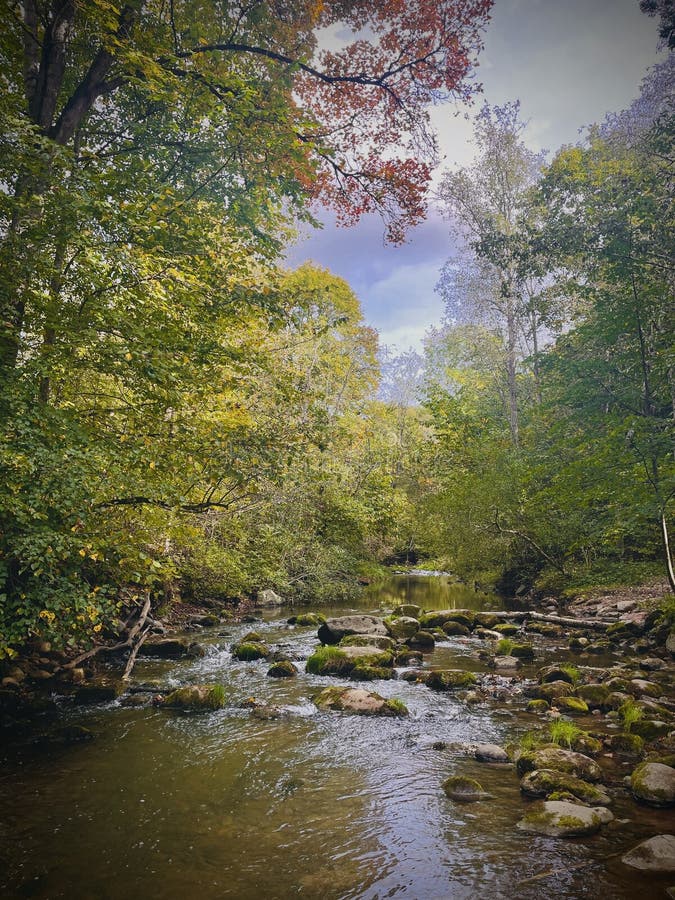 Natural Lithuanian Woodland Setting Stock Photos - Free & Royalty-Free ...