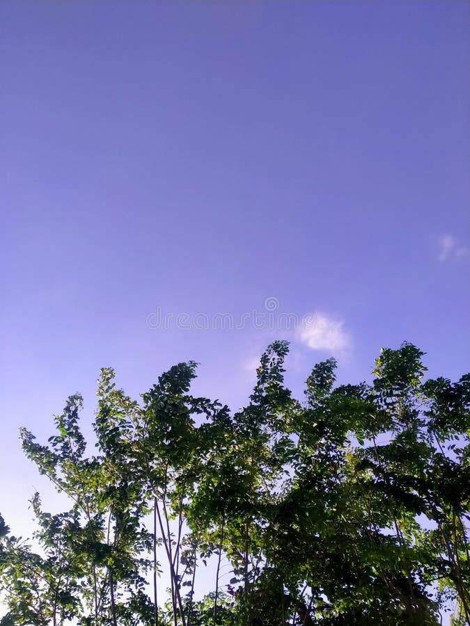 Clear sky in the afternoon stock photo. Image of cloud - 281676922