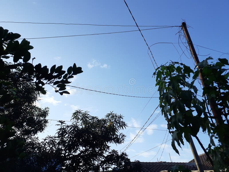 Clear Sky Atmosphere in Housing Stock Image - Image of tree, sunlight ...