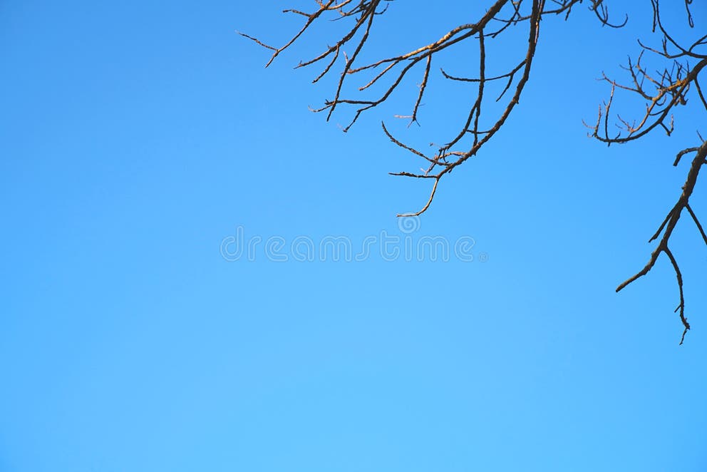 Clear sky backgrounds stock image. Image of pattern - 208295733