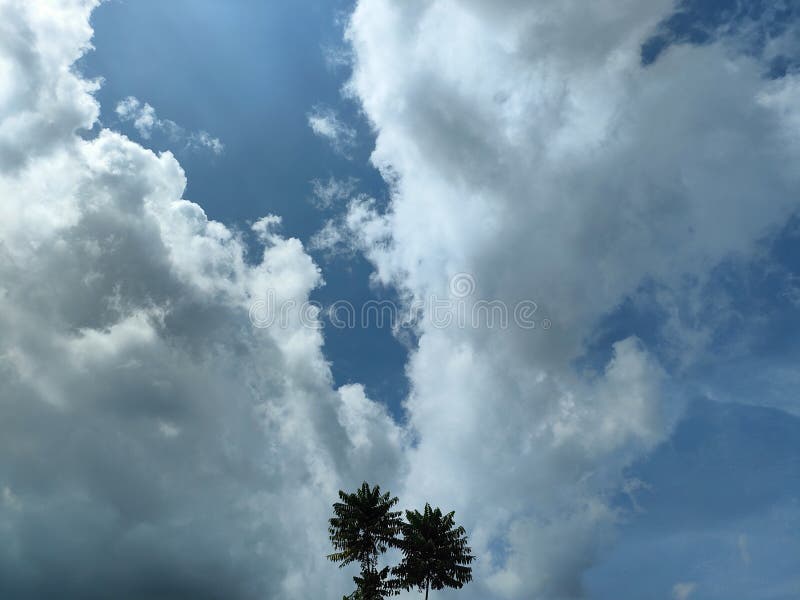 A Clear Sky with Bunch of Cloud with Tree Stock Image - Image of clear ...