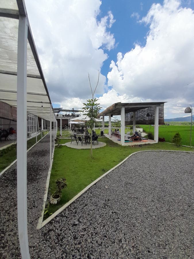 Clear Sky on Cafe Side of Rice Field Stock Image - Image of rice, clear ...