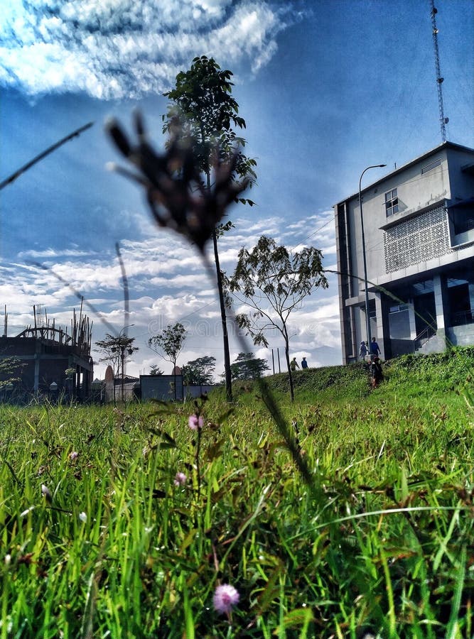 Clear Sky, Emitting an Aura of Peace in the Afternoon Stock Image ...