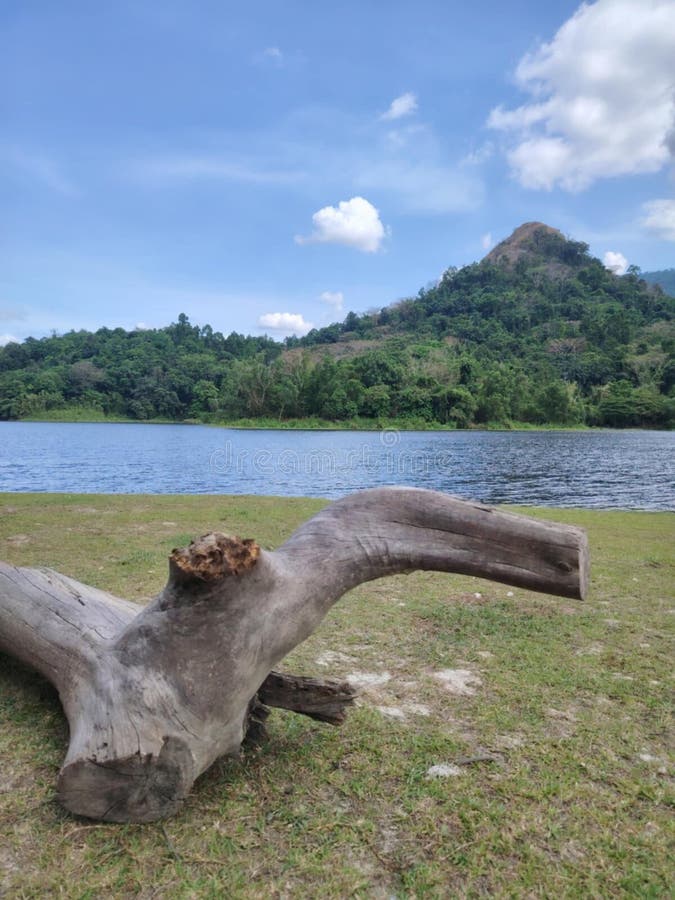 Clear Sky Feels Warm Calm Stock Photos - Free & Royalty-Free Stock ...