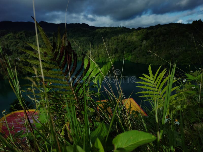 The Clear Sky Reflects the Green Lake Light from the Top of the Hill ...