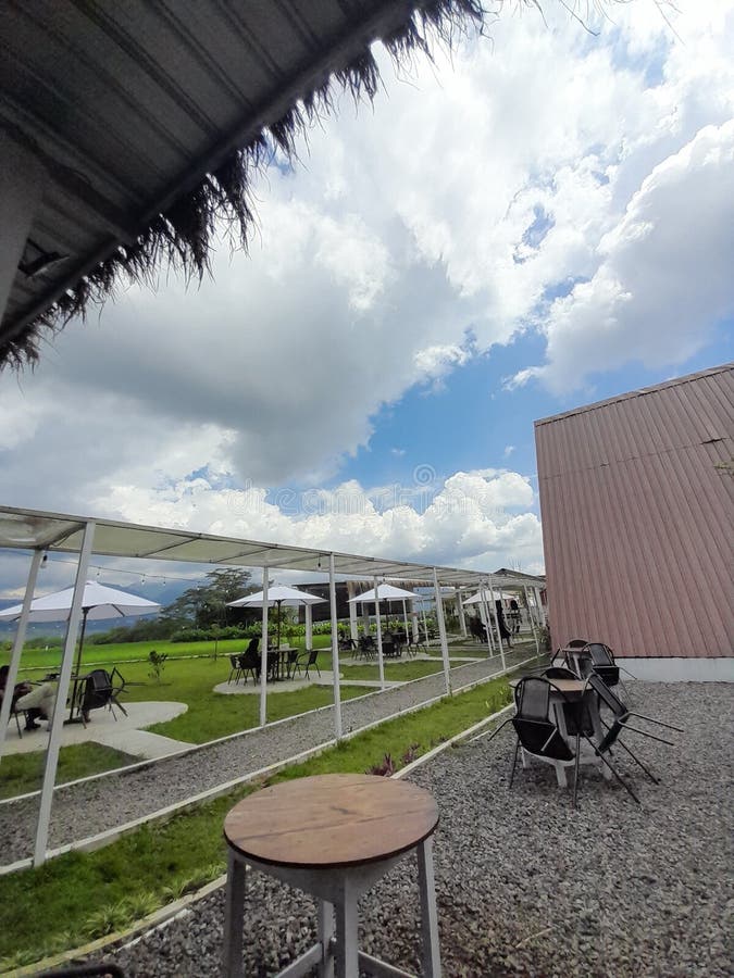 Clear Sky beside of Rice Field Cafe Stock Photo - Image of clear, rice ...