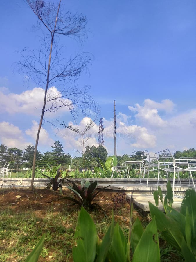 Clear Sky Stretched High Di Siang Hari Stock Image - Image of siang ...